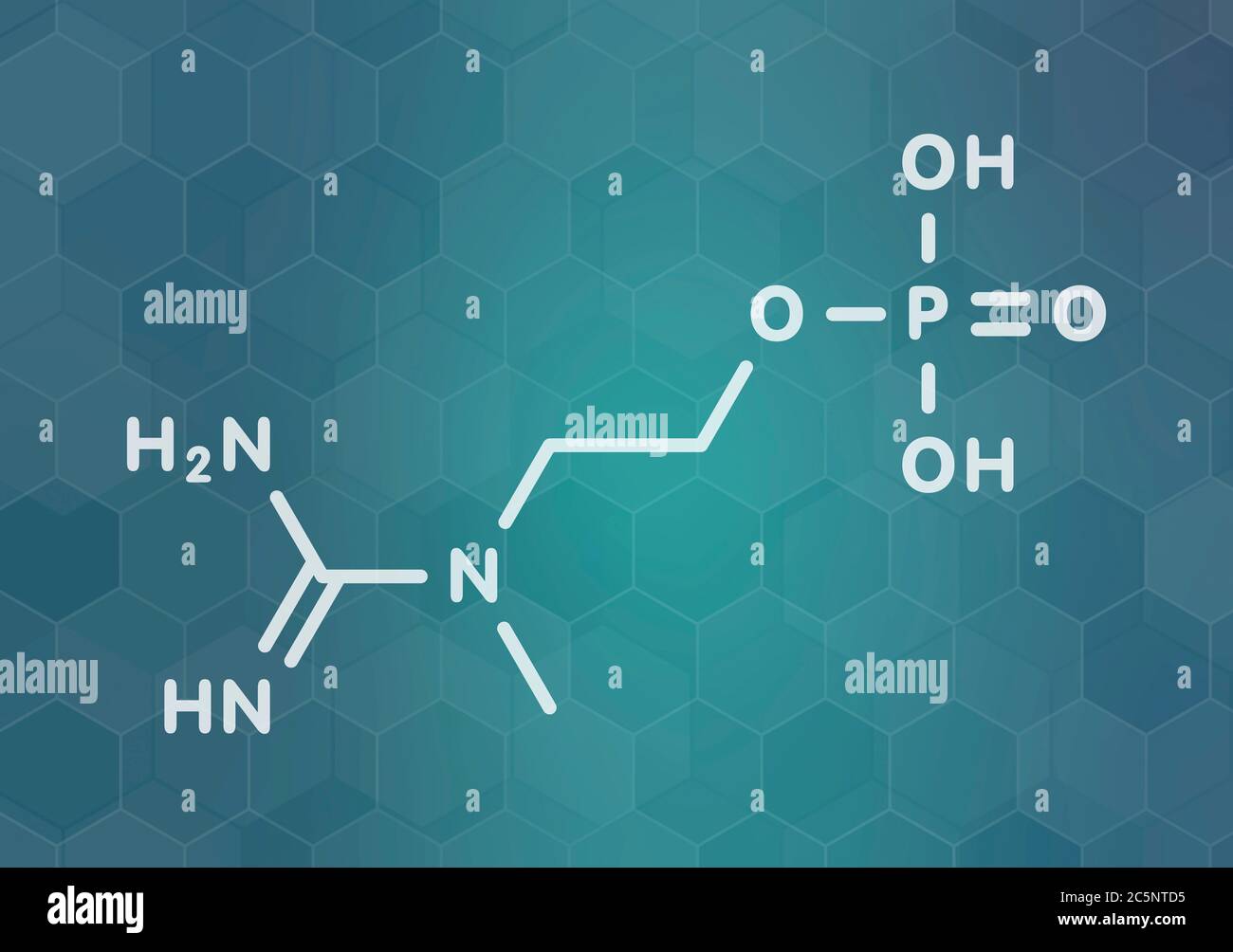 Creatinol-O-Phosphate or COP molecule. Skeletal formula Stock Photo - Alamy