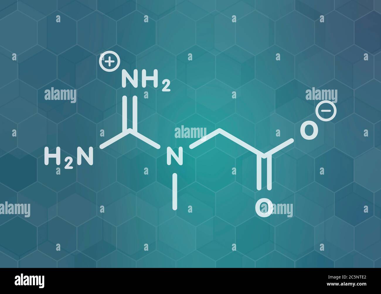 Creatine molecule. Often used in food supplements. Skeletal formula ...