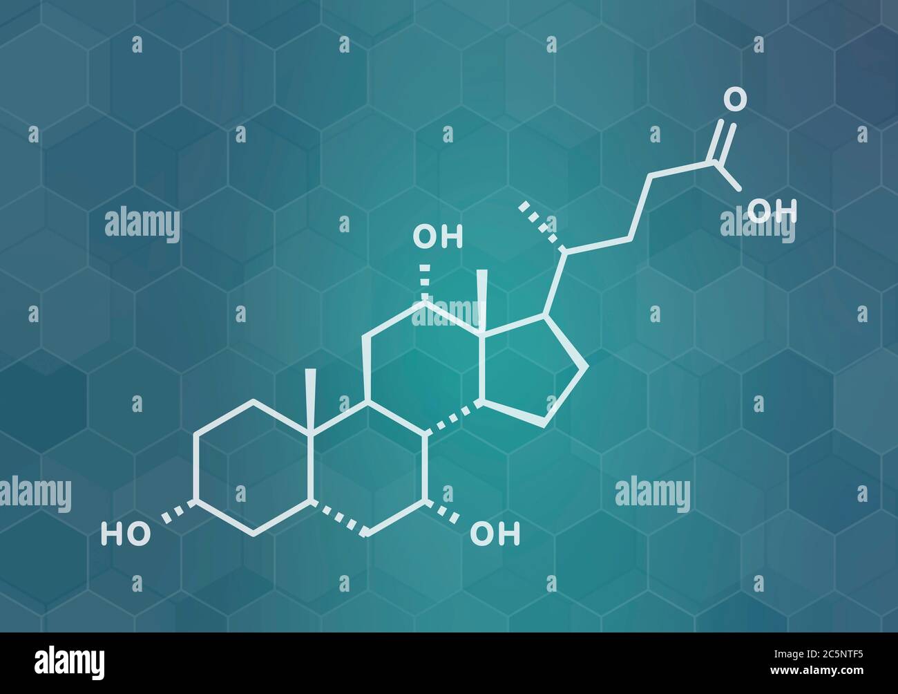 Cholic acid (cholate) molecule. Main bile acid component. Skeletal ...