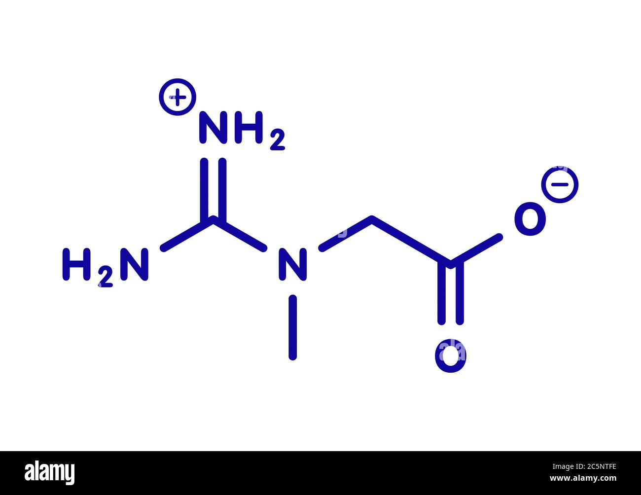Creatine molecule. Often used in food supplements. Skeletal formula ...