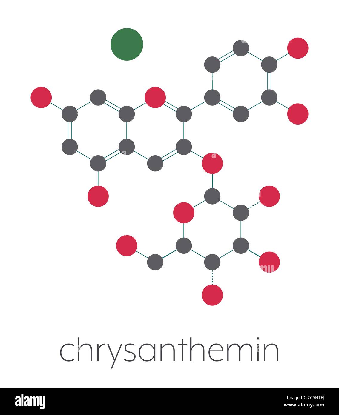 Chrysanthemin plant pigment molecule. Stylized skeletal formula ...