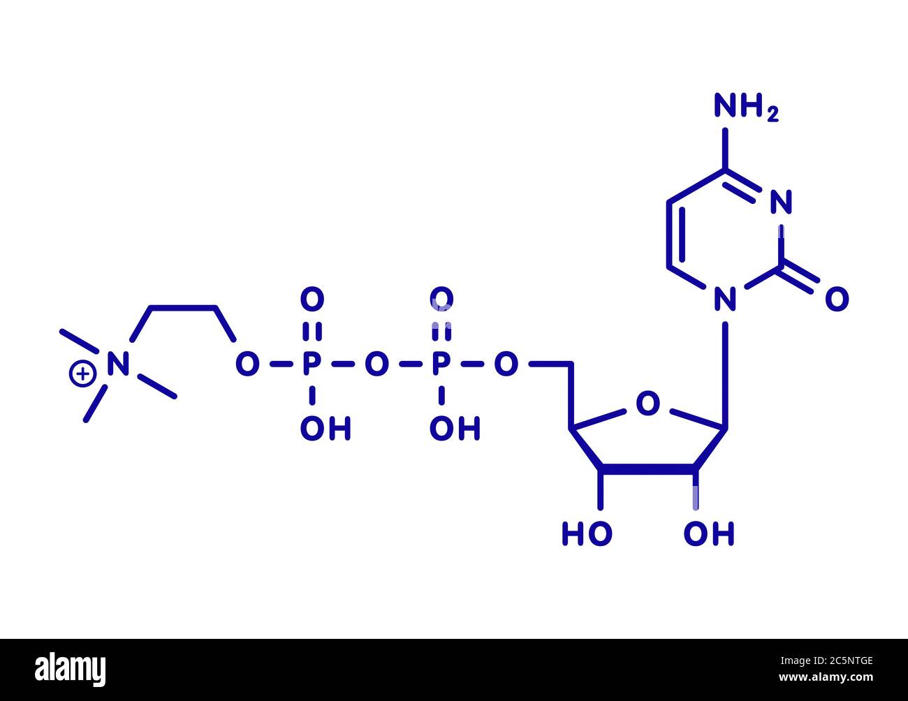 Citicoline (CDP-choline) molecule. Skeletal formula Stock Photo - Alamy