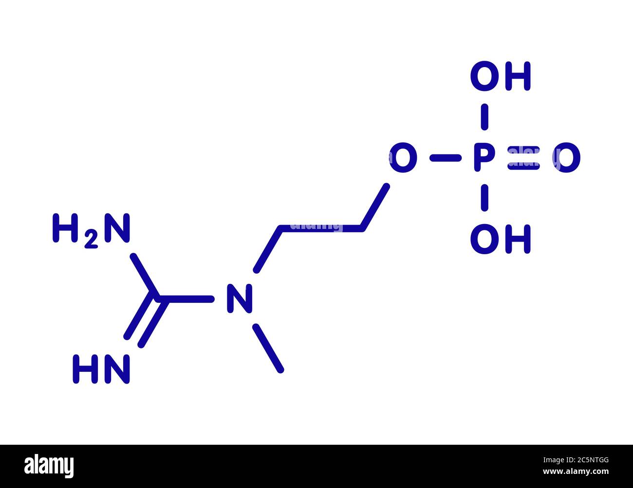 Creatinol-O-Phosphate or COP molecule. Skeletal formula Stock Photo - Alamy