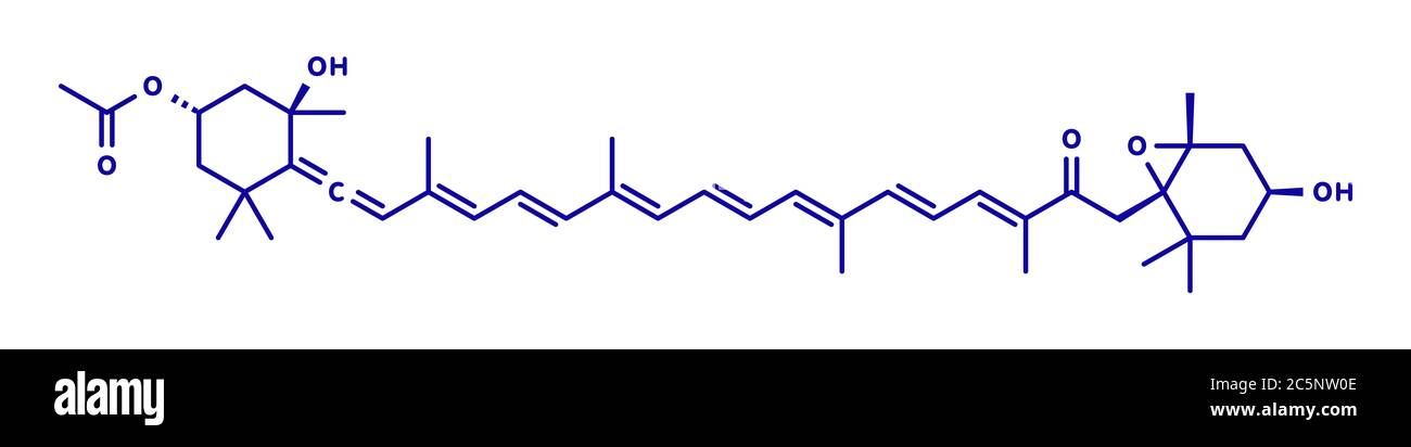 With Brown Algae High Resolution Stock Photography and Images - Alamy