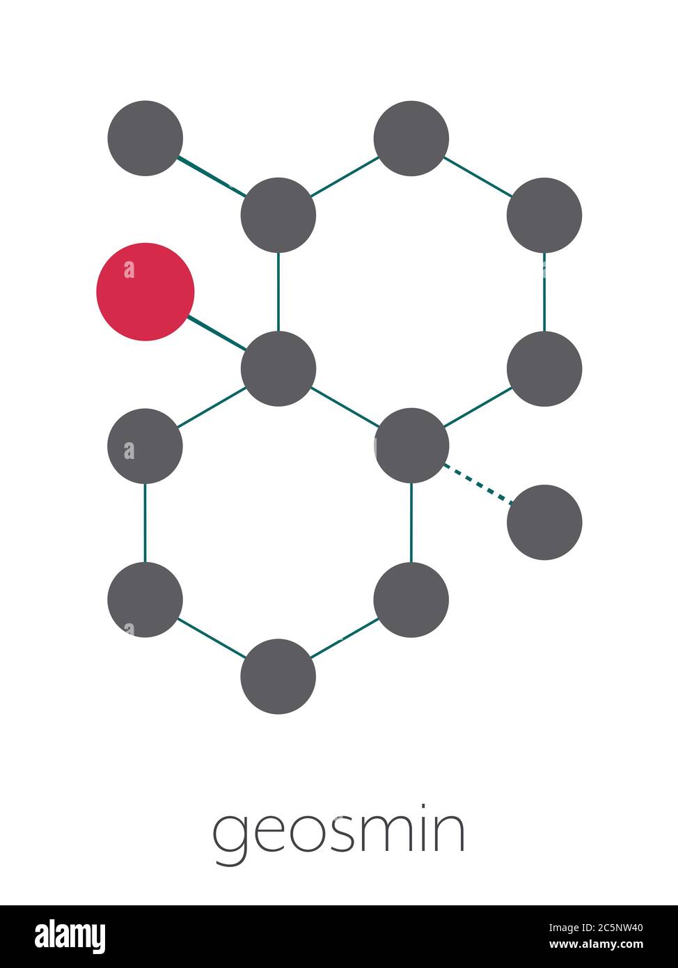 Geosmin earthy flavour molecule. Responsible for the typical taste of ...