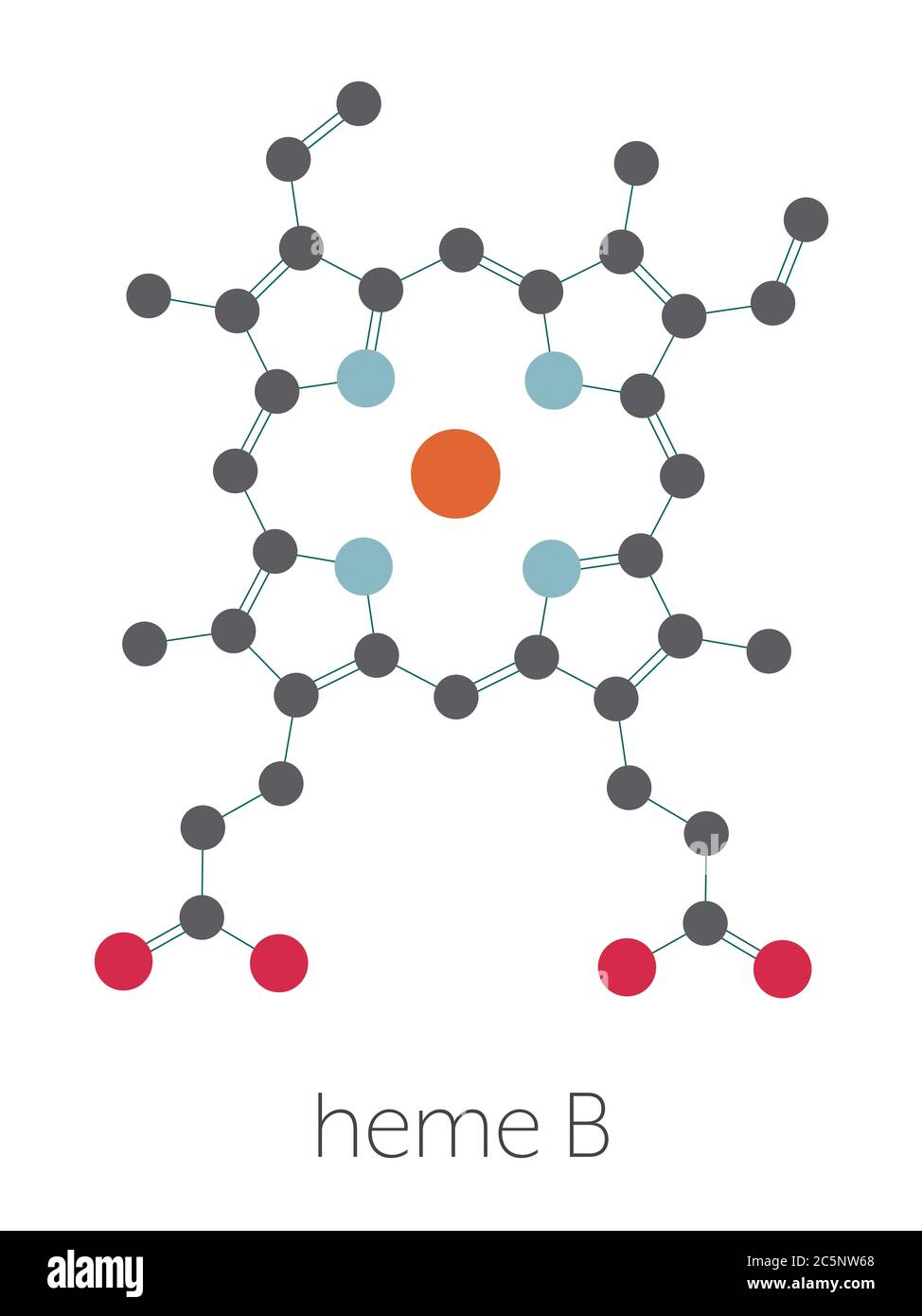 Heme B (haem B) molecule. Heme is an essential component of hemoglobin ...