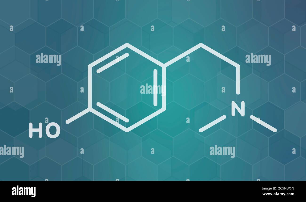 Hordenine (dimethyltyramine) stimulant molecule, chemical structure ...
