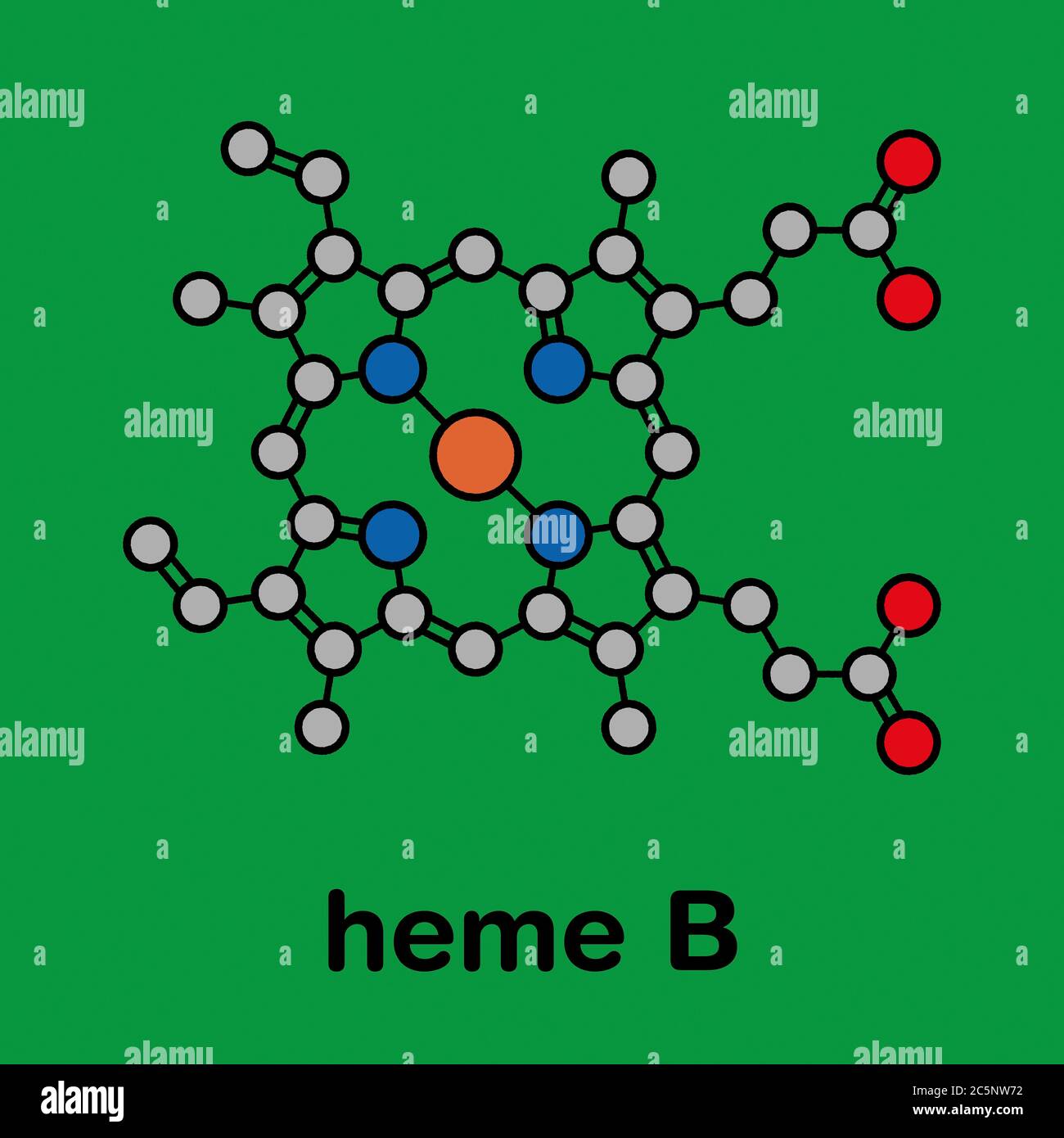 Hemoglobin Heme