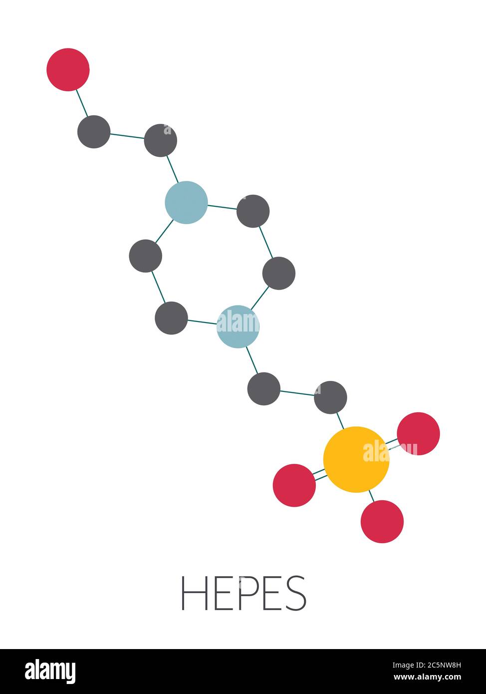 HEPES buffering agent molecule. Stylized skeletal formula (chemical ...