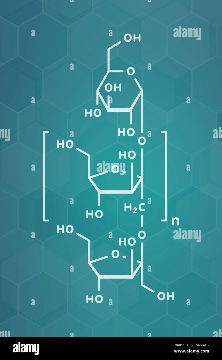 Inulin, chemical structure. Sweet, indigestible carbohydrate, present ...