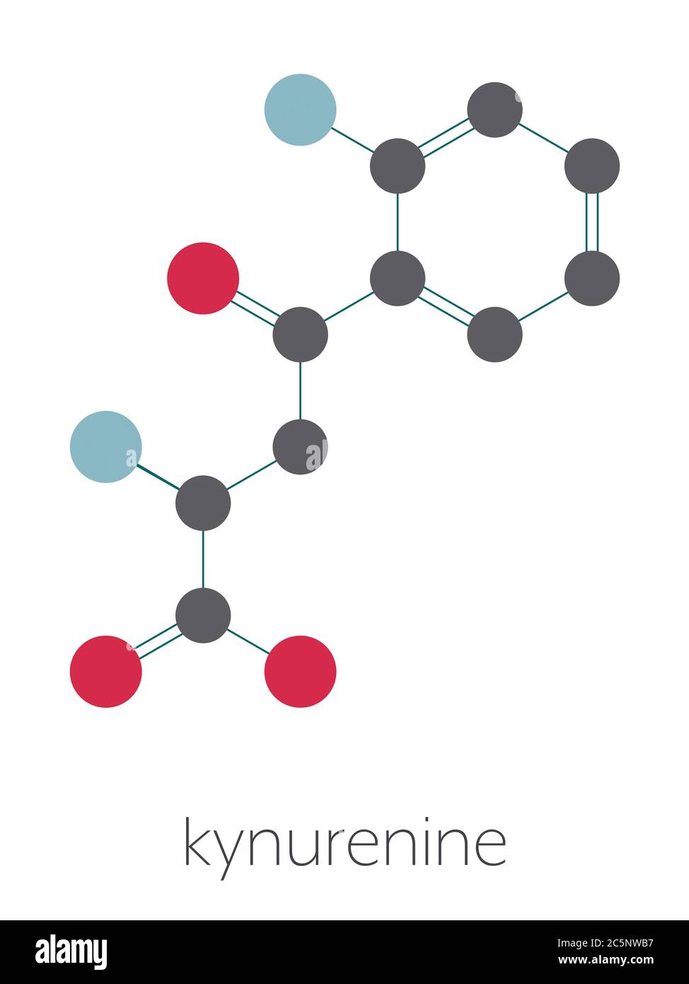 Kynurenine molecule. Stylized skeletal formula (chemical structure ...