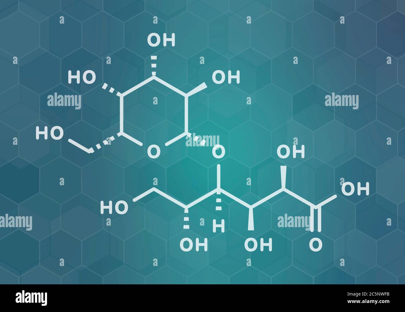 Lactobionic acid (lactobionate) molecule. Commonly used additive in ...