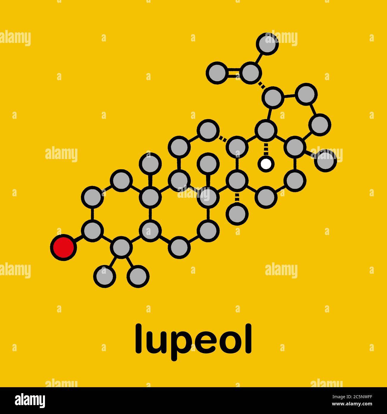 Lupeol molecule. Stylized skeletal formula (chemical structure): Atoms ...