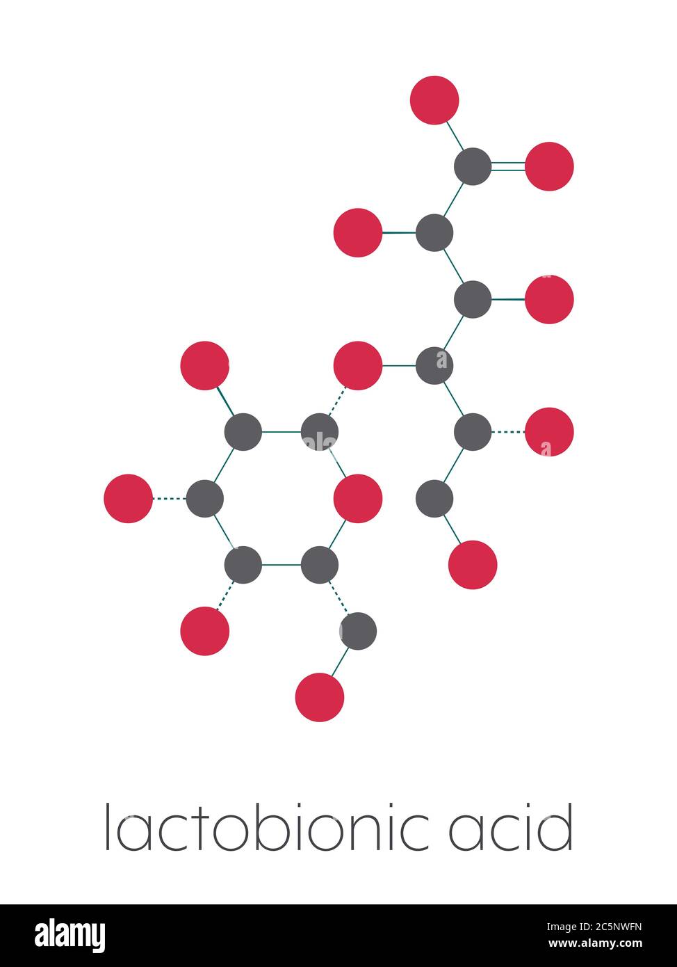 Lactobionic acid (lactobionate) molecule. Commonly used additive in ...