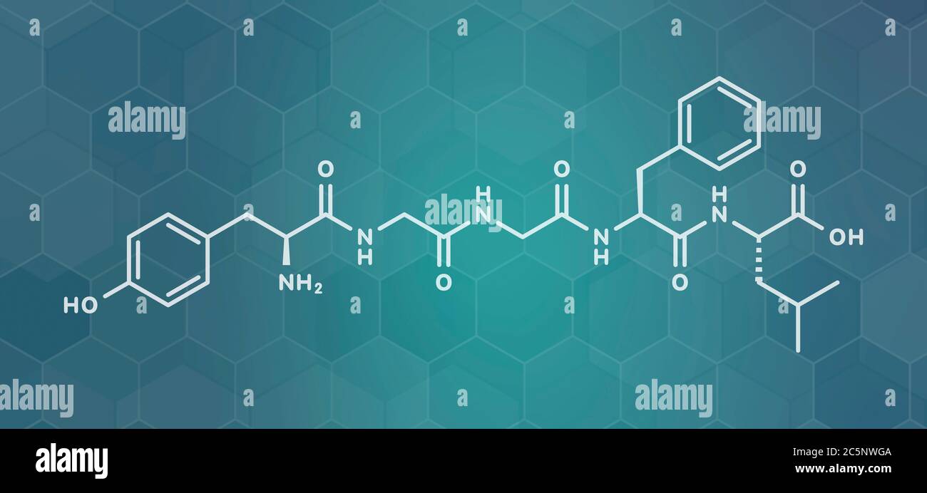 Leu-enkephalin endogenous opioid peptide molecule. Skeletal formula ...