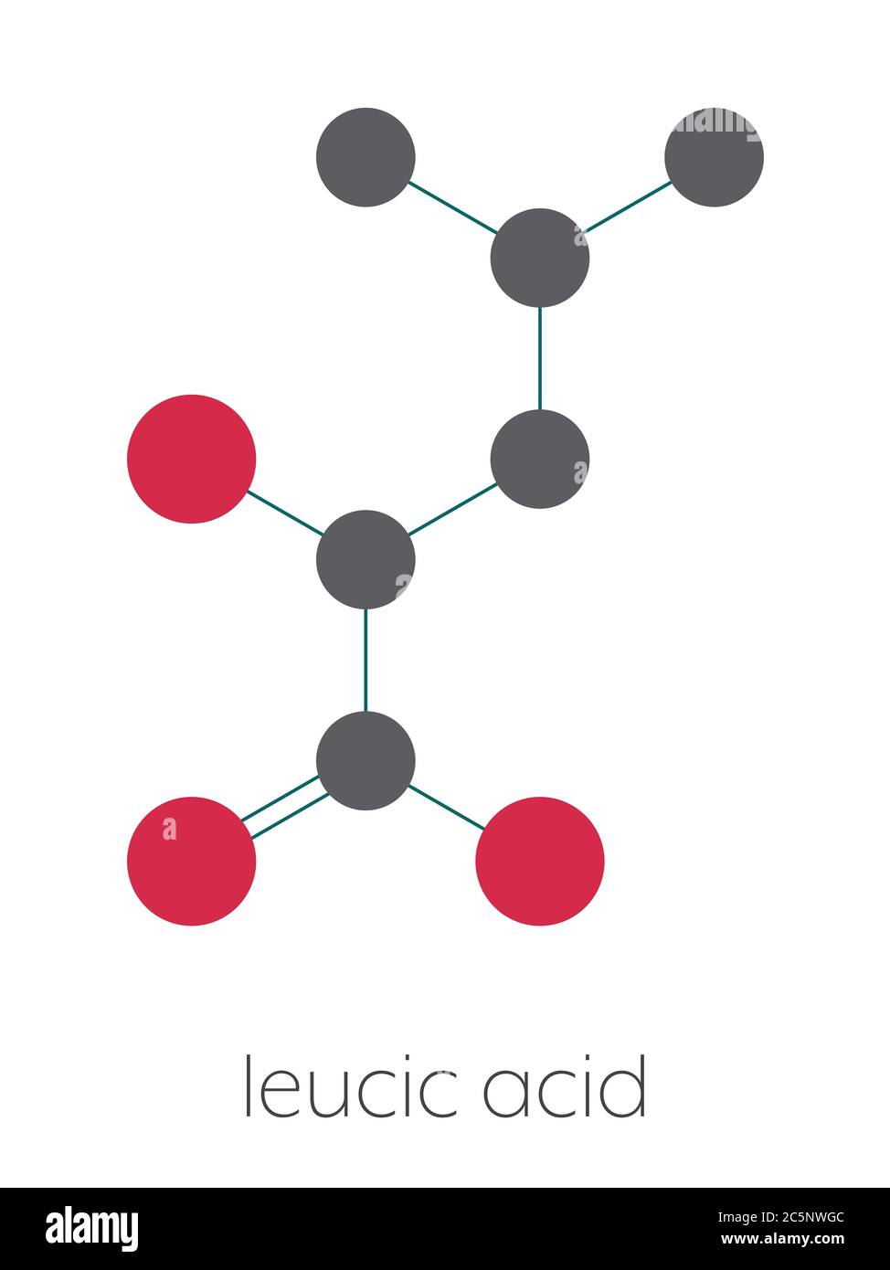 Leucic acid or HICA molecule. Stylized skeletal formula (chemical ...
