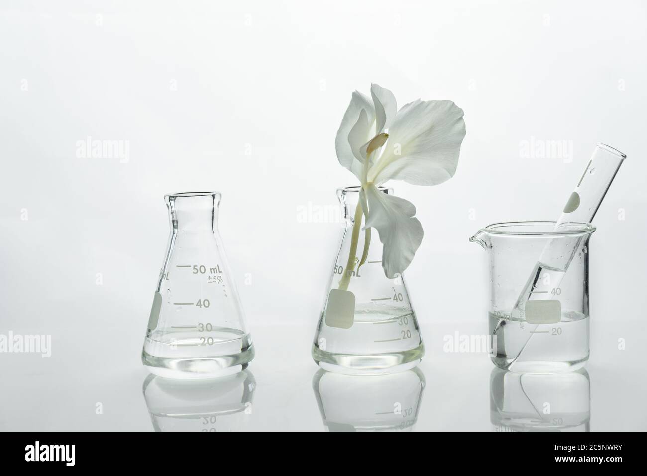 glass science flask and beaker with water and white soft natural flower ...