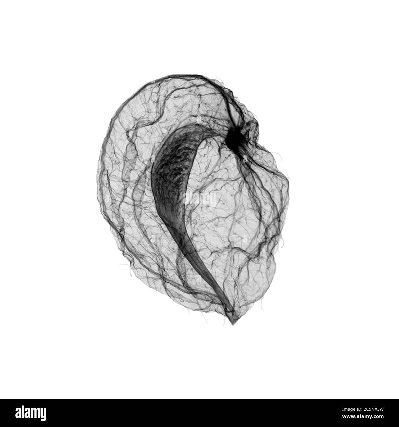 Boll and Cut Out Stock Images & Pictures - Alamy