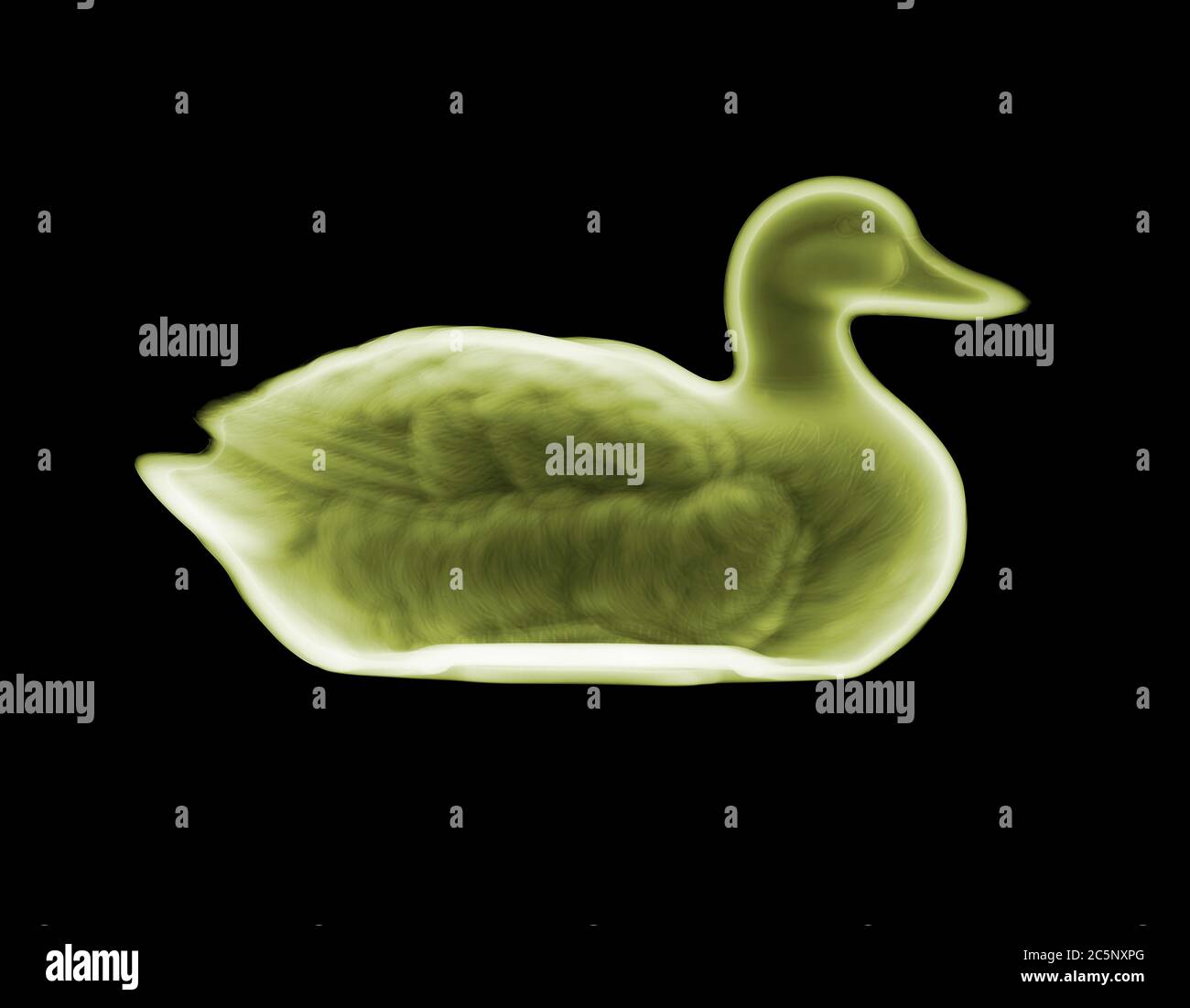 Porcelain duck, X-ray Stock Photo - Alamy
