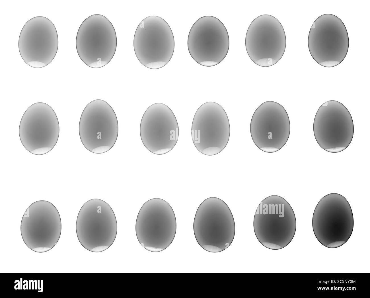 18 eggs, X-ray Stock Photo - Alamy