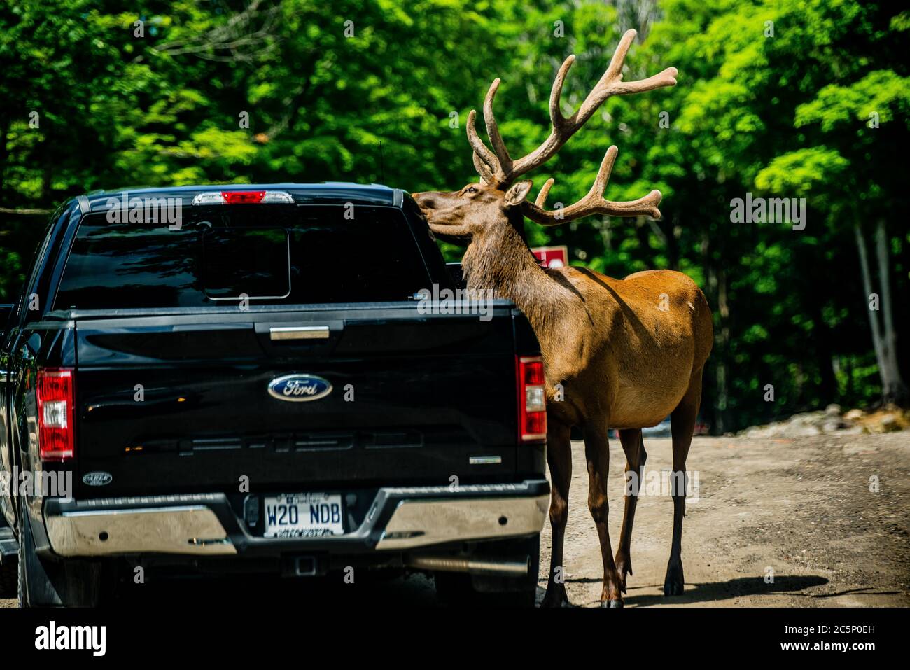 Parc omega hi-res stock photography and images - Alamy