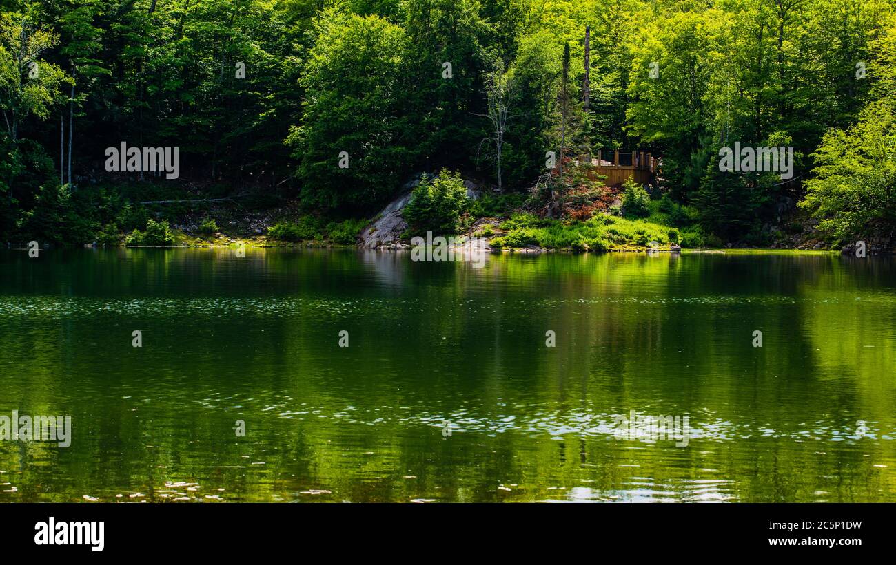 Parc Omega, Canada, July 3 2020 - The lakeside stunning view in the ...