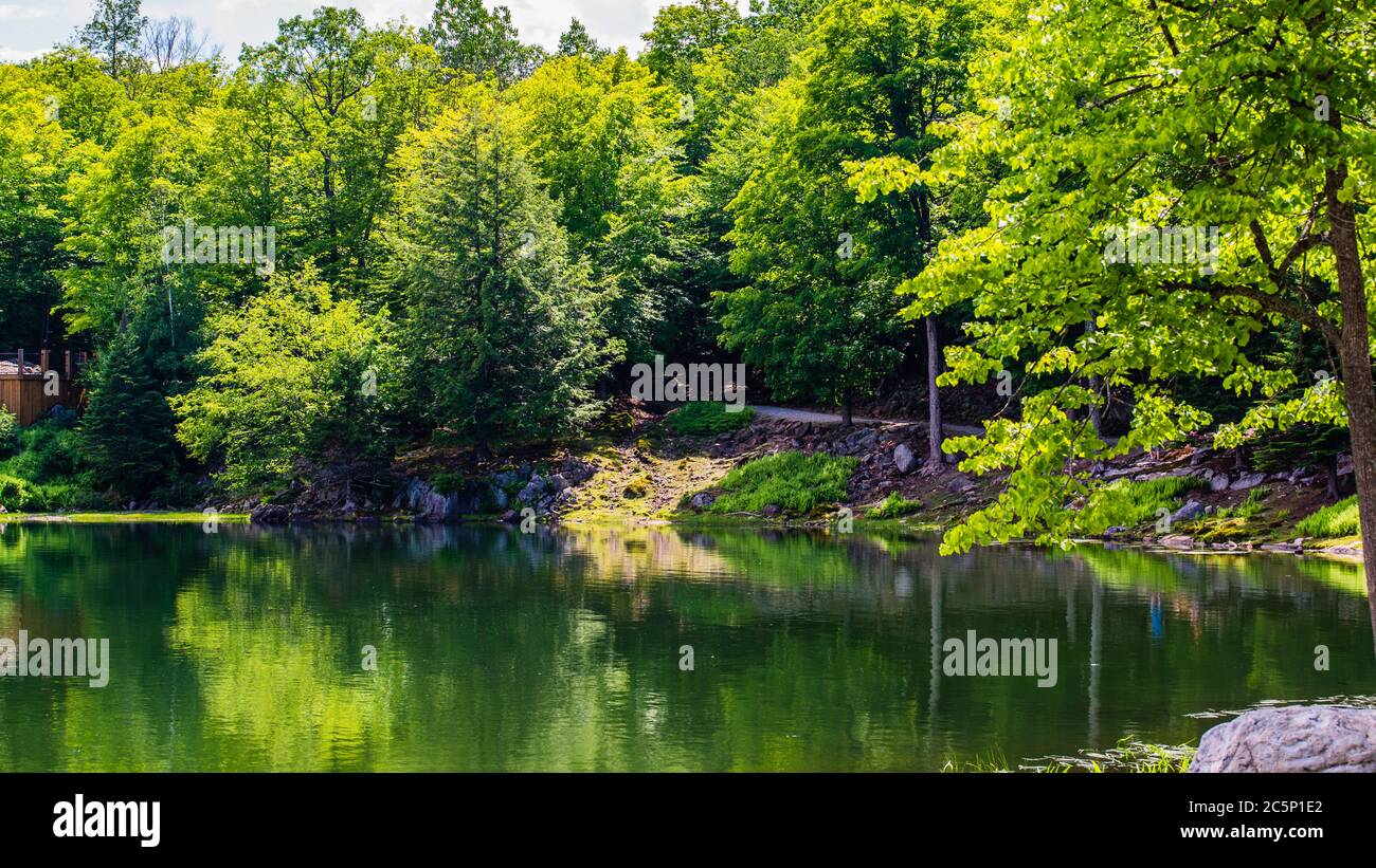 Parc Omega, Canada, July 3 2020 - The lakeside stunning view in the ...
