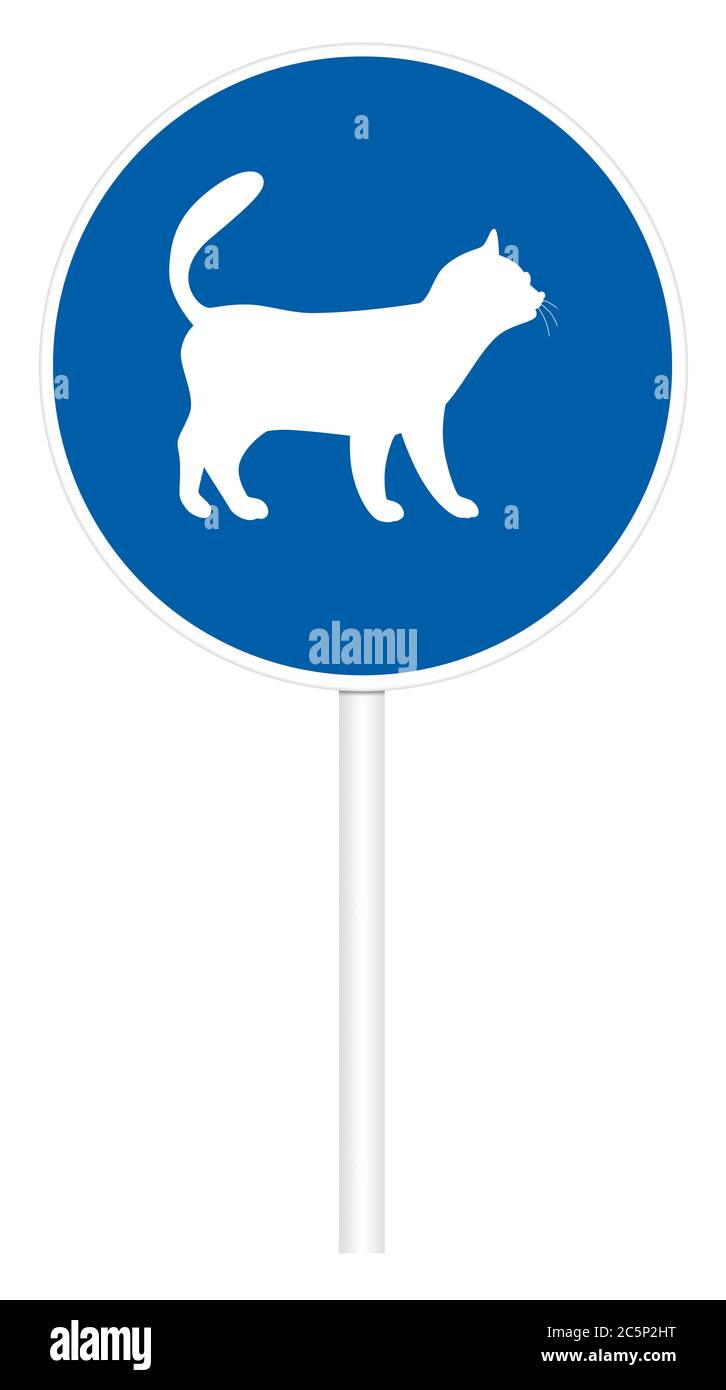 Prescriptive traffic sign isolated on white 3D illustration - Cat path Stock Photo - Alamy