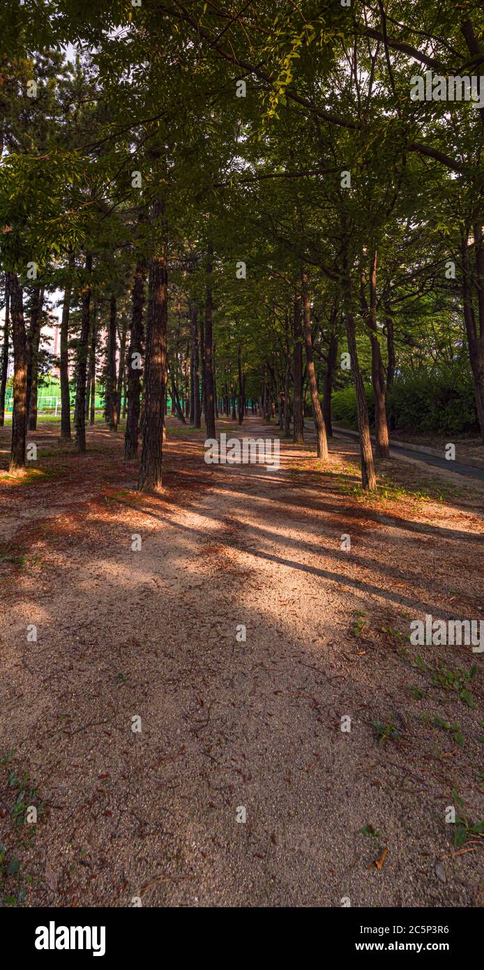 City walkway with sunlight Stock Photo - Alamy