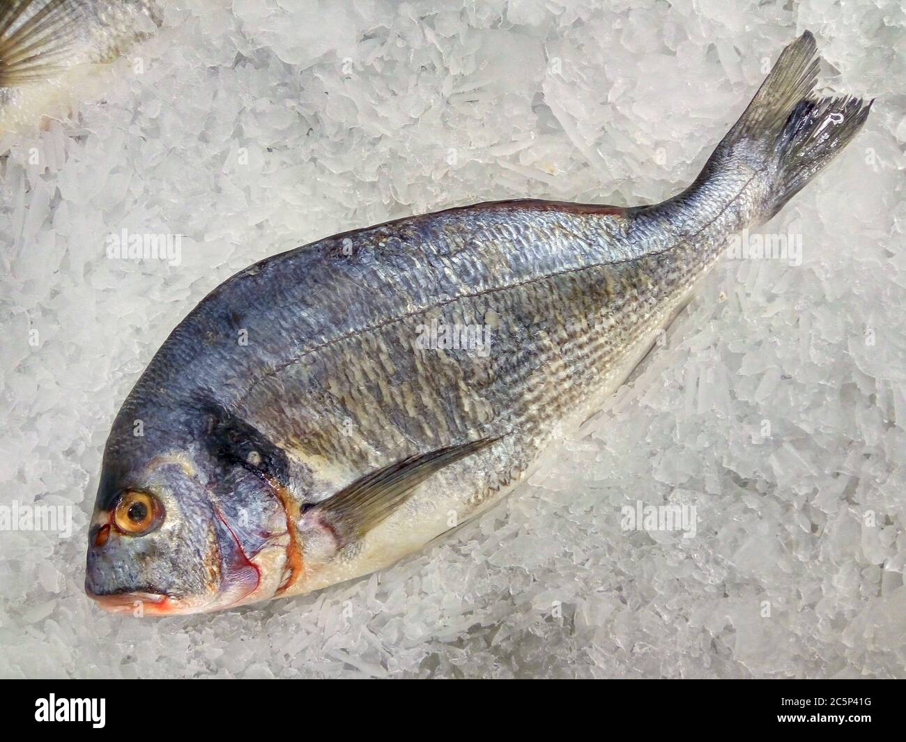 Fresh Dorado fish on ice at the market Stock Photo - Alamy