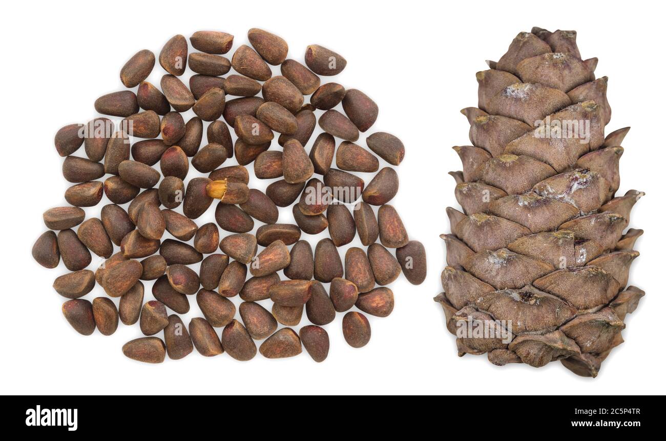 Unpeeled cedar nuts with cone isolated on white background Stock Photo ...