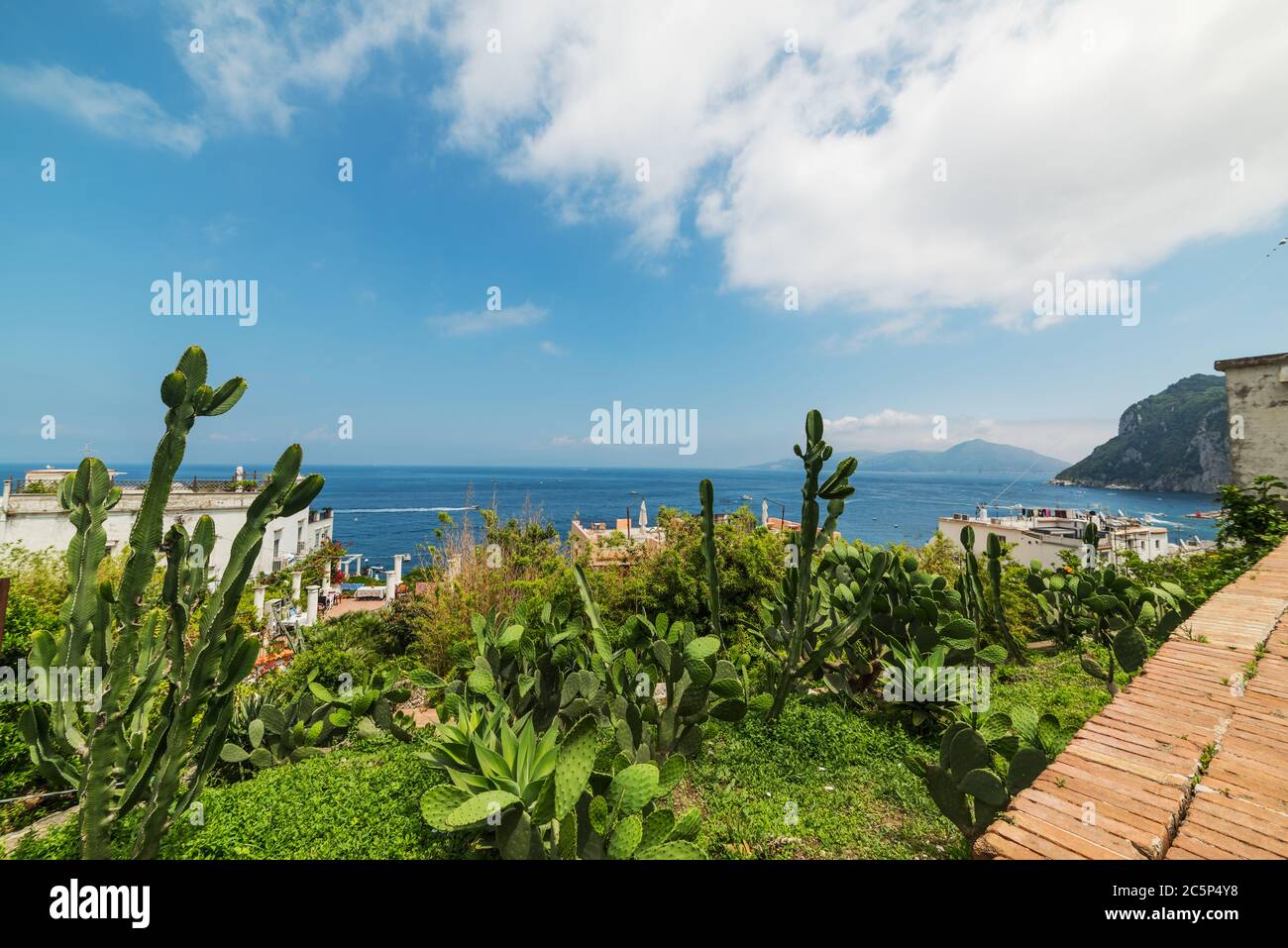 world famous Capri coastline, Italy Stock Photo - Alamy