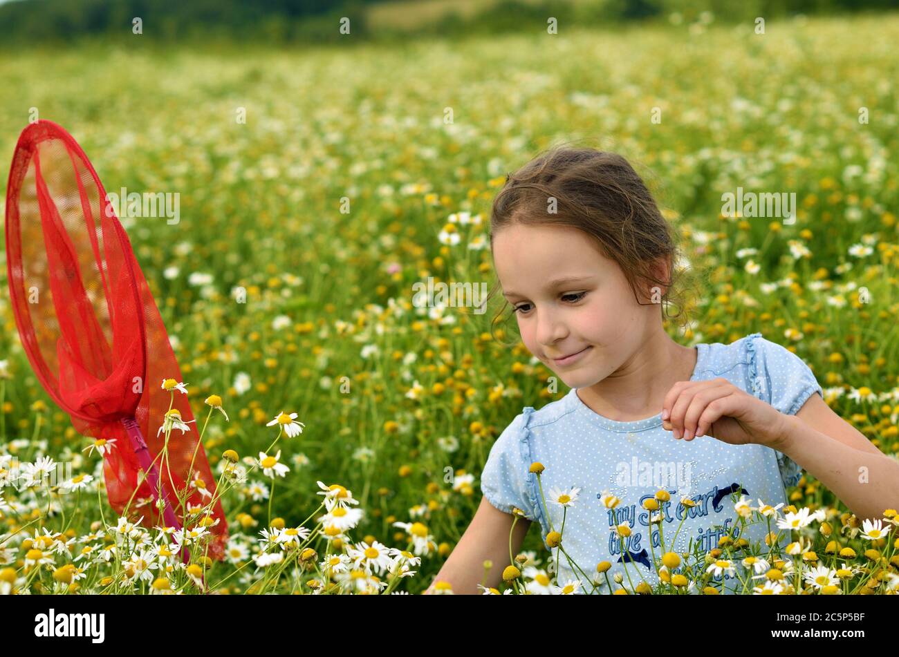 Cute child girl with bright red sweep-net at chamomiles field Stock ...