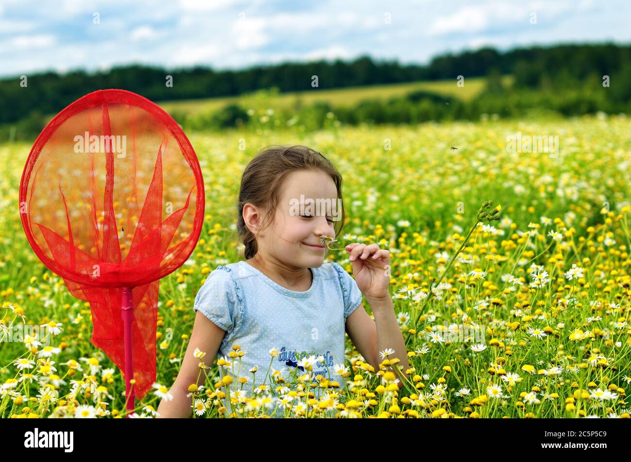 Cute child girl with bright red sweep-net at chamomiles field Stock ...