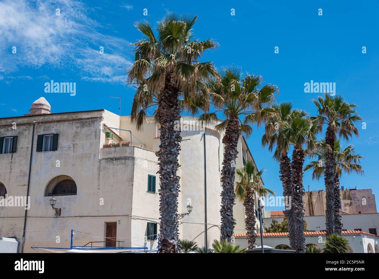 Palm trees in downtown Alghero. Sardinia, Italy Stock Photo - Alamy