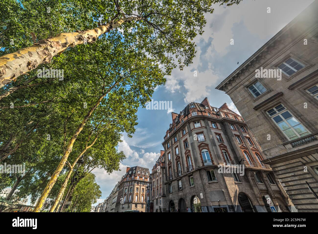 Tall trees and elegant buildings in Paris, France Stock Photo - Alamy