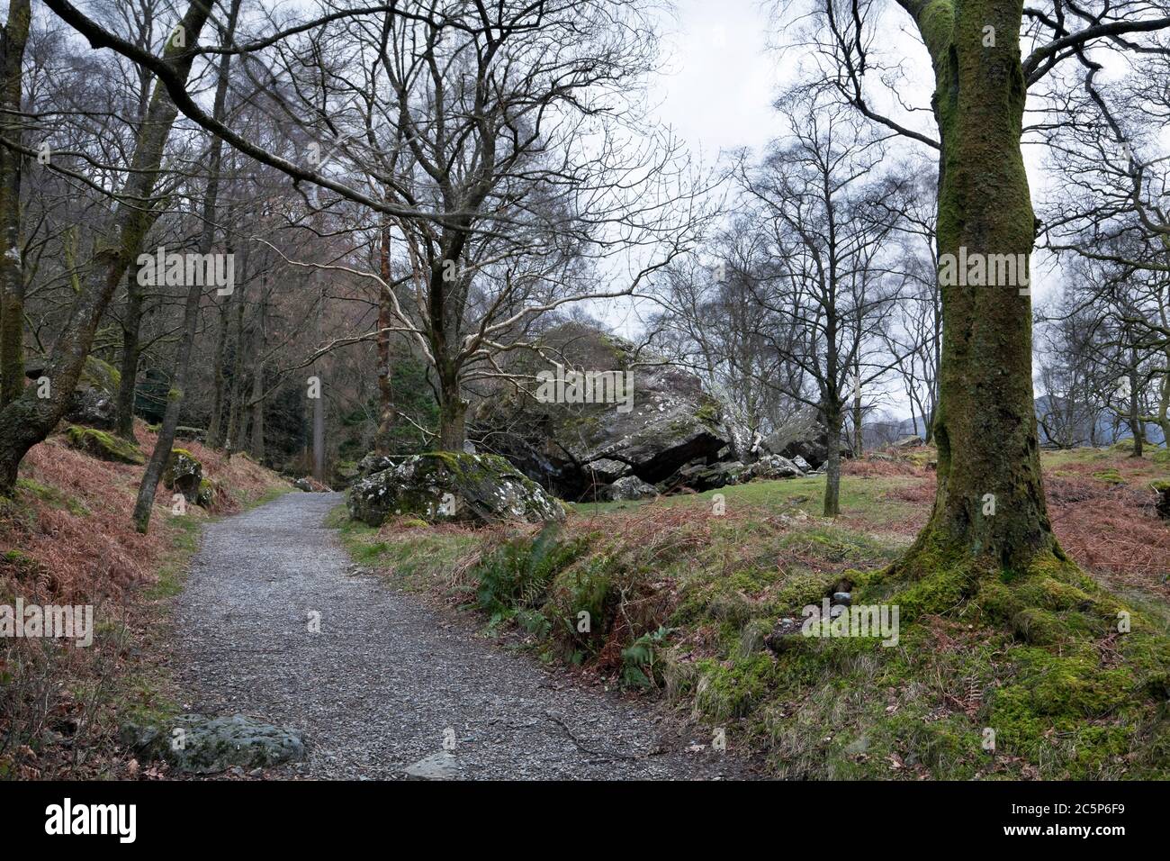 Borrowdale stone lake district hi-res stock photography and images - Alamy