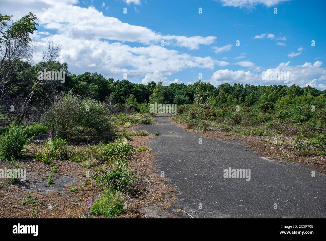 The overgrown remains of a runaway of an old air force base in Suffolk ...