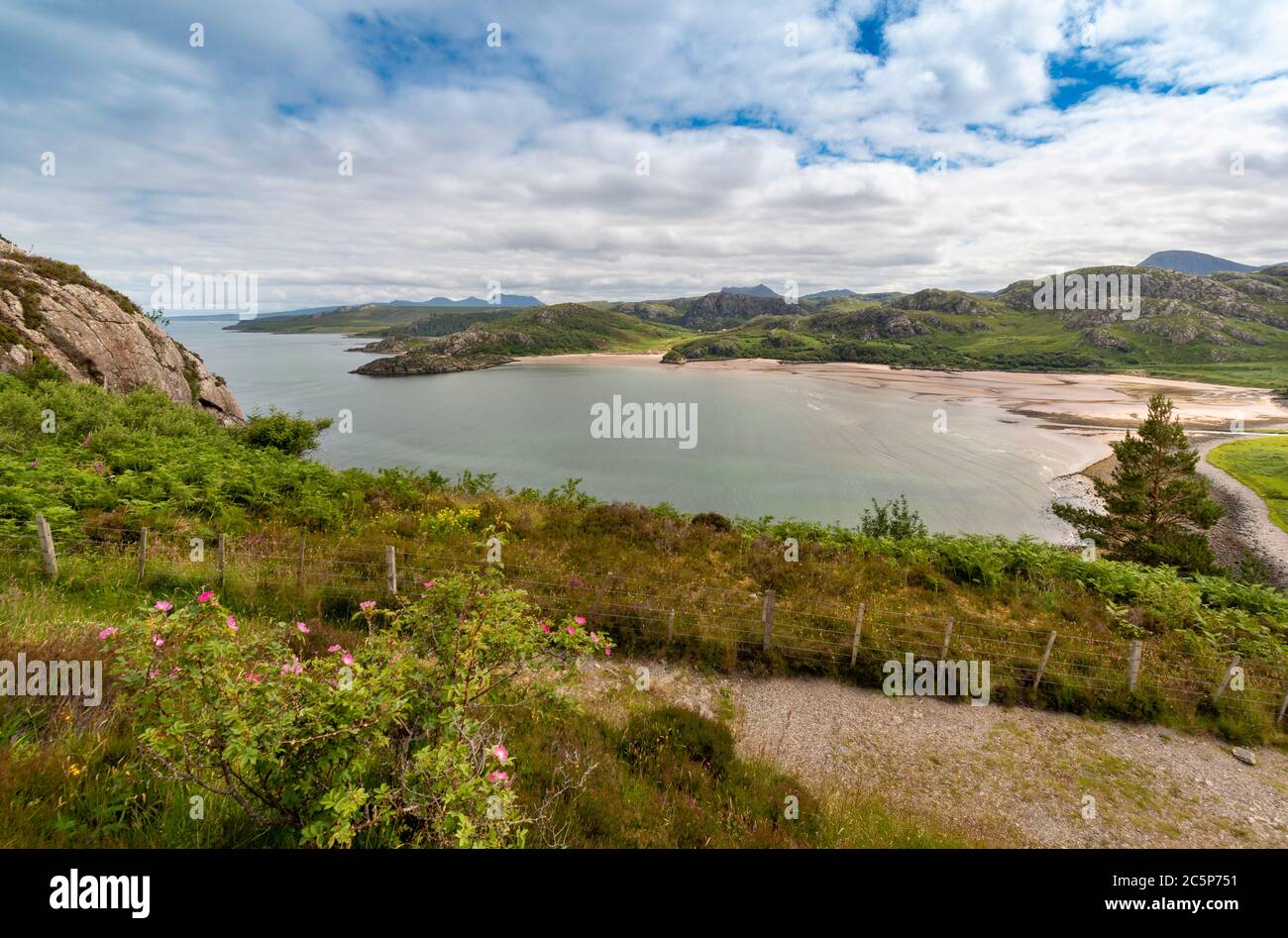 Wild Rose Bush High Resolution Stock Photography and Images - Alamy
