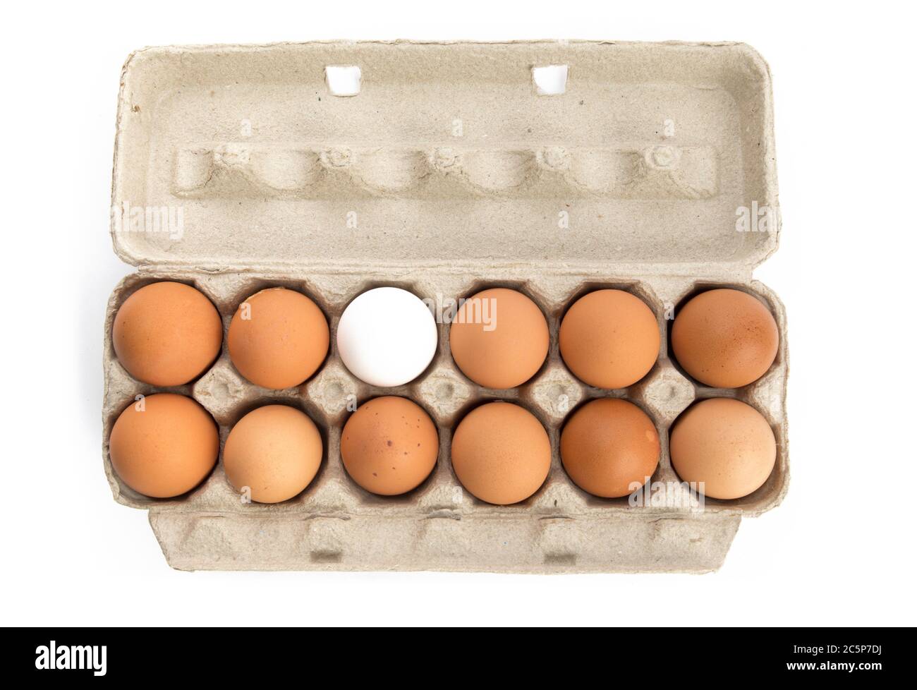 one dozen eggs, eleven brown, one white, in a cardboard egg carton isolated on white Stock Photo ...