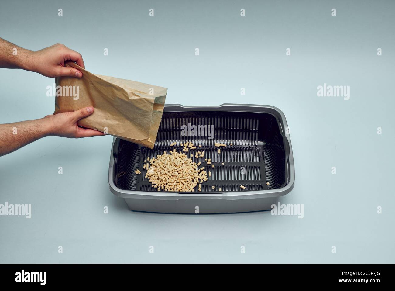 New gray, empty cat tray. Tray filler, biodegradable cat litter. Toilet ...