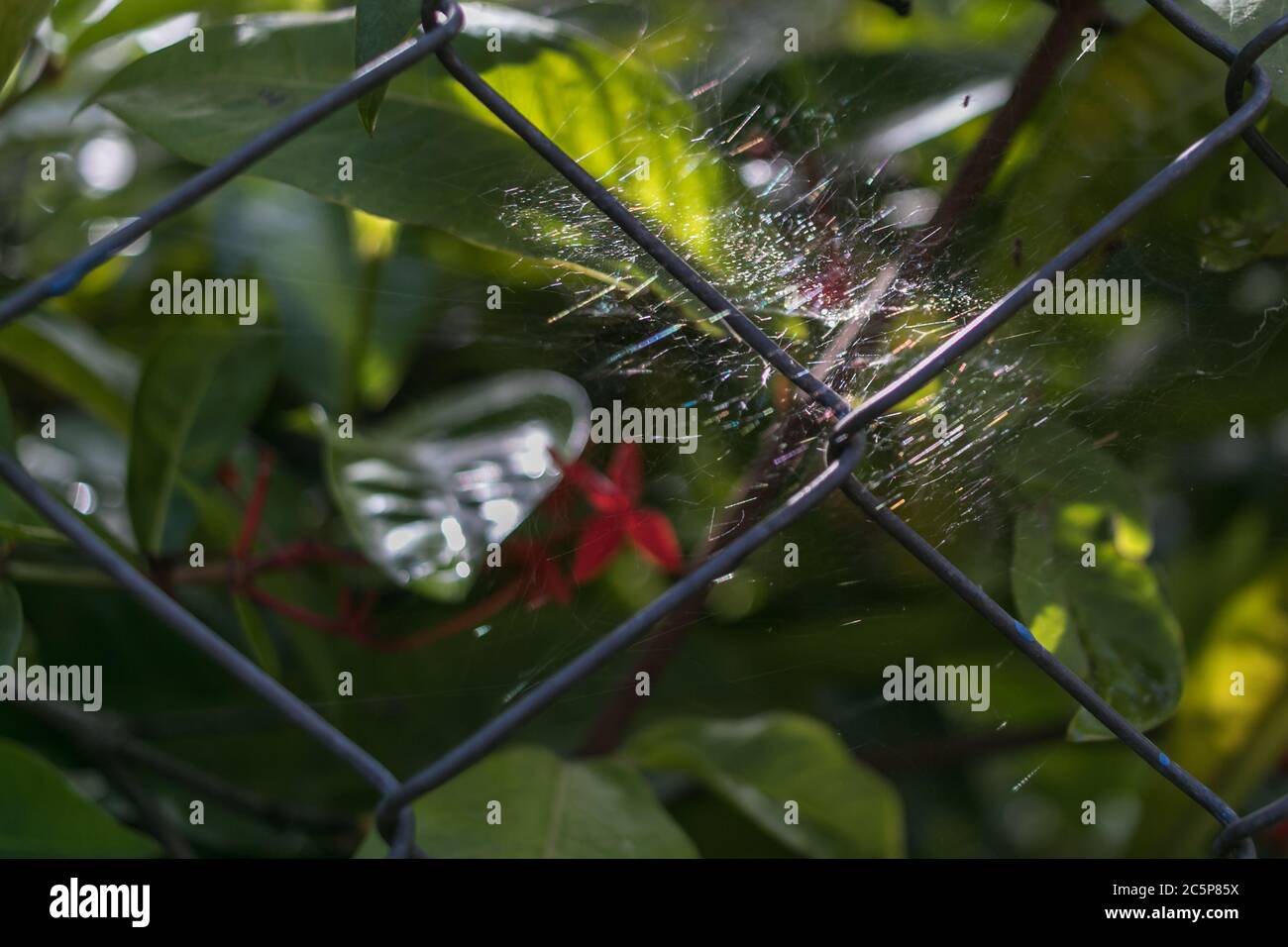 Separated from background hi-res stock photography and images - Alamy