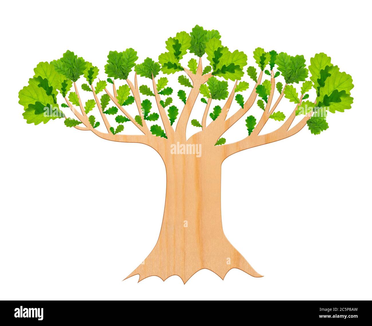 Oak tree isolated on white background Stock Photo - Alamy