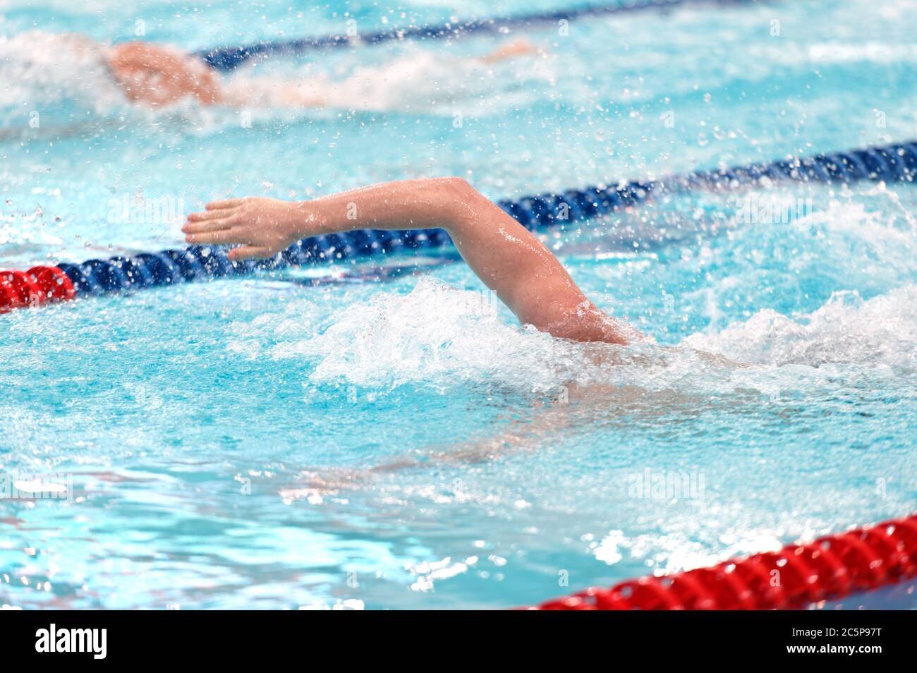 Men compete in freestyle swimming in a swimming pool. Closeup view, no ...