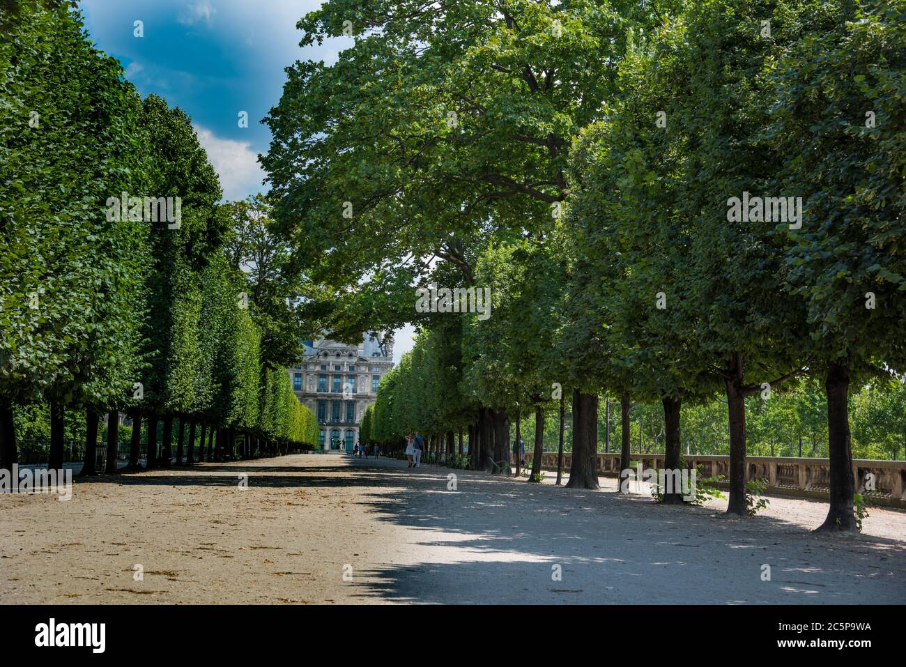 Tree-lined boulevard in jardin de tuileries in Paris, France Stock ...
