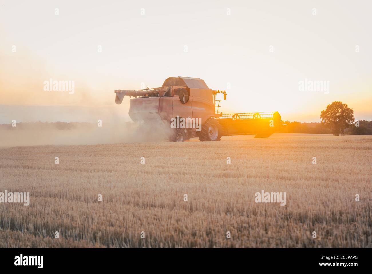 Combine loading corn crop sunset hi-res stock photography and images ...