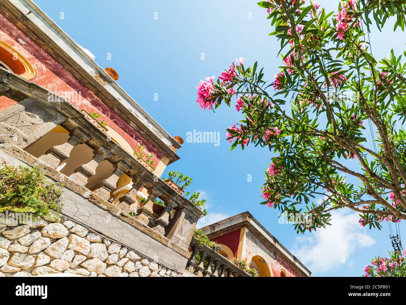 Elegant building and oleander tree in world famous Capri island, Italy ...