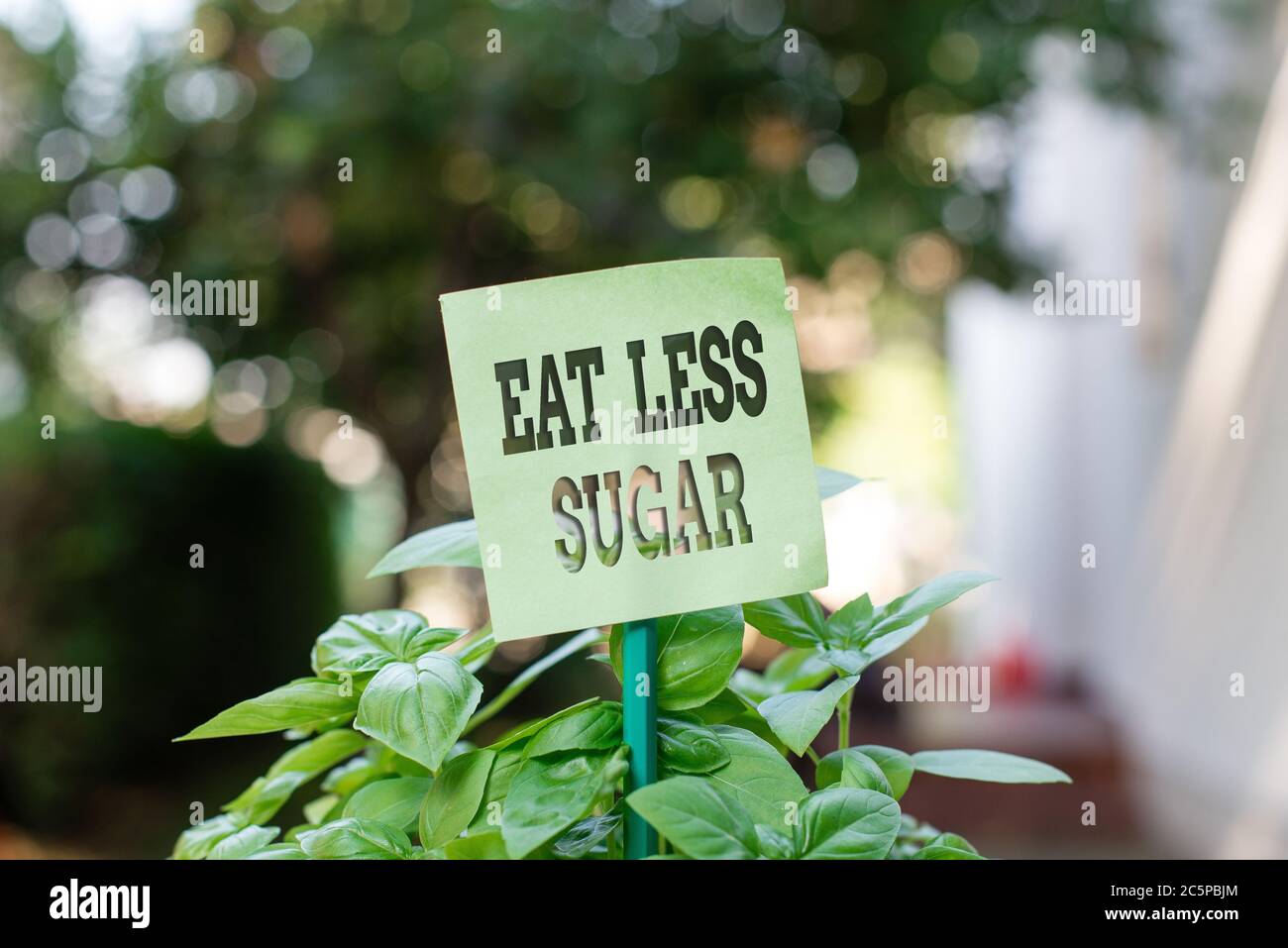 Handwriting text writing Eat Less Sugar. Conceptual photo reducing ...
