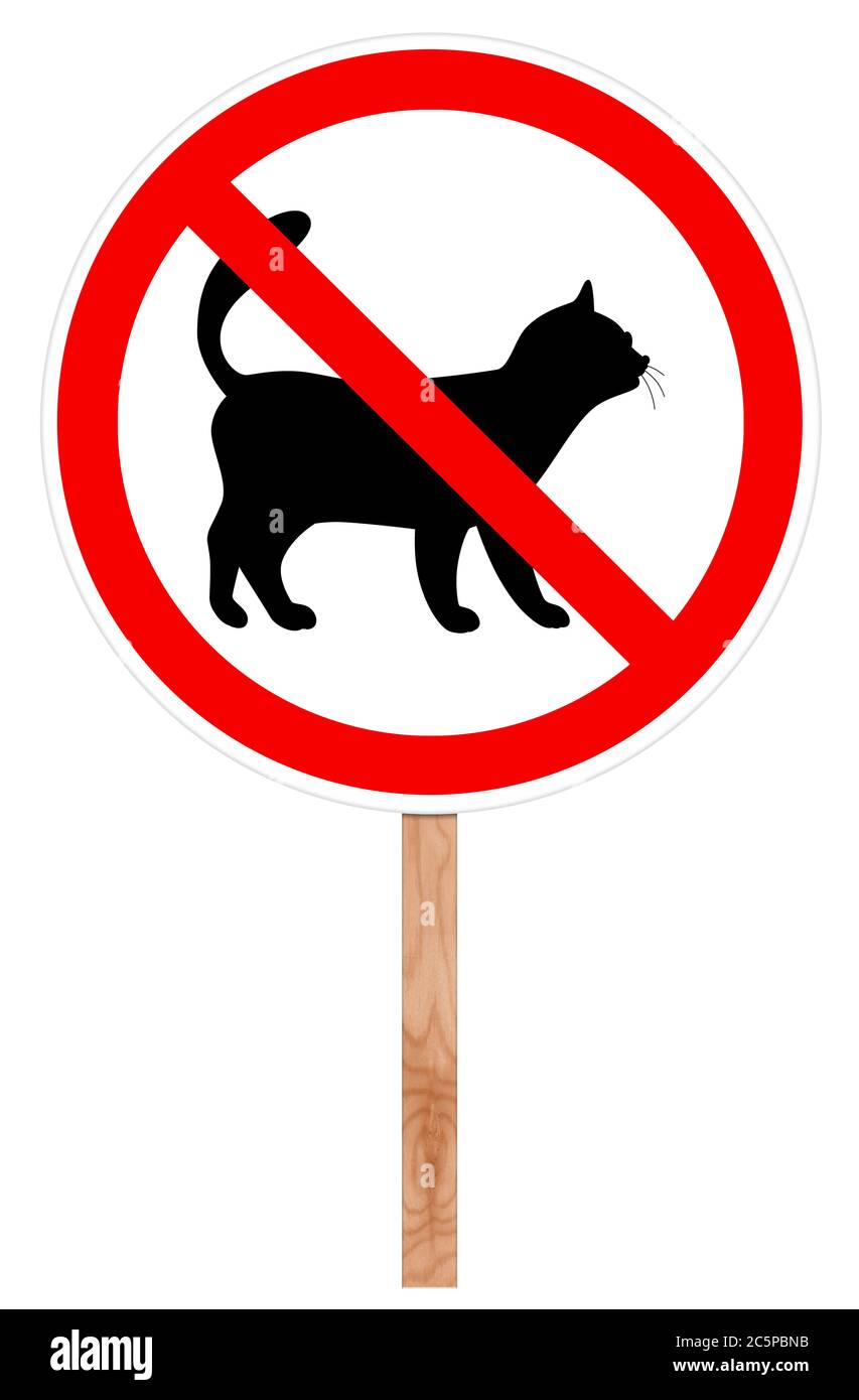 Prohibitory traffic sign isolated on white 3D illustration - Cat Stock ...