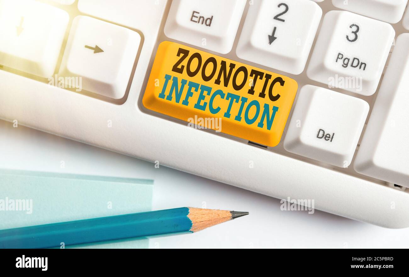 Handwriting text Zoonotic Infection. Conceptual photo communicable ...